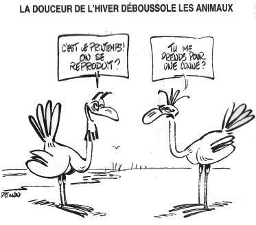 C'est le Printemps!!!